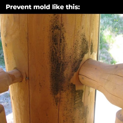 Cascade Exterior Clear Coat - Sashco