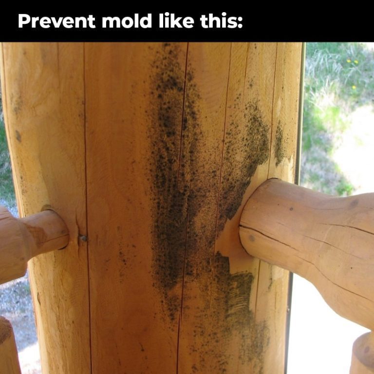 Cascade Exterior Clear Coat - Sashco