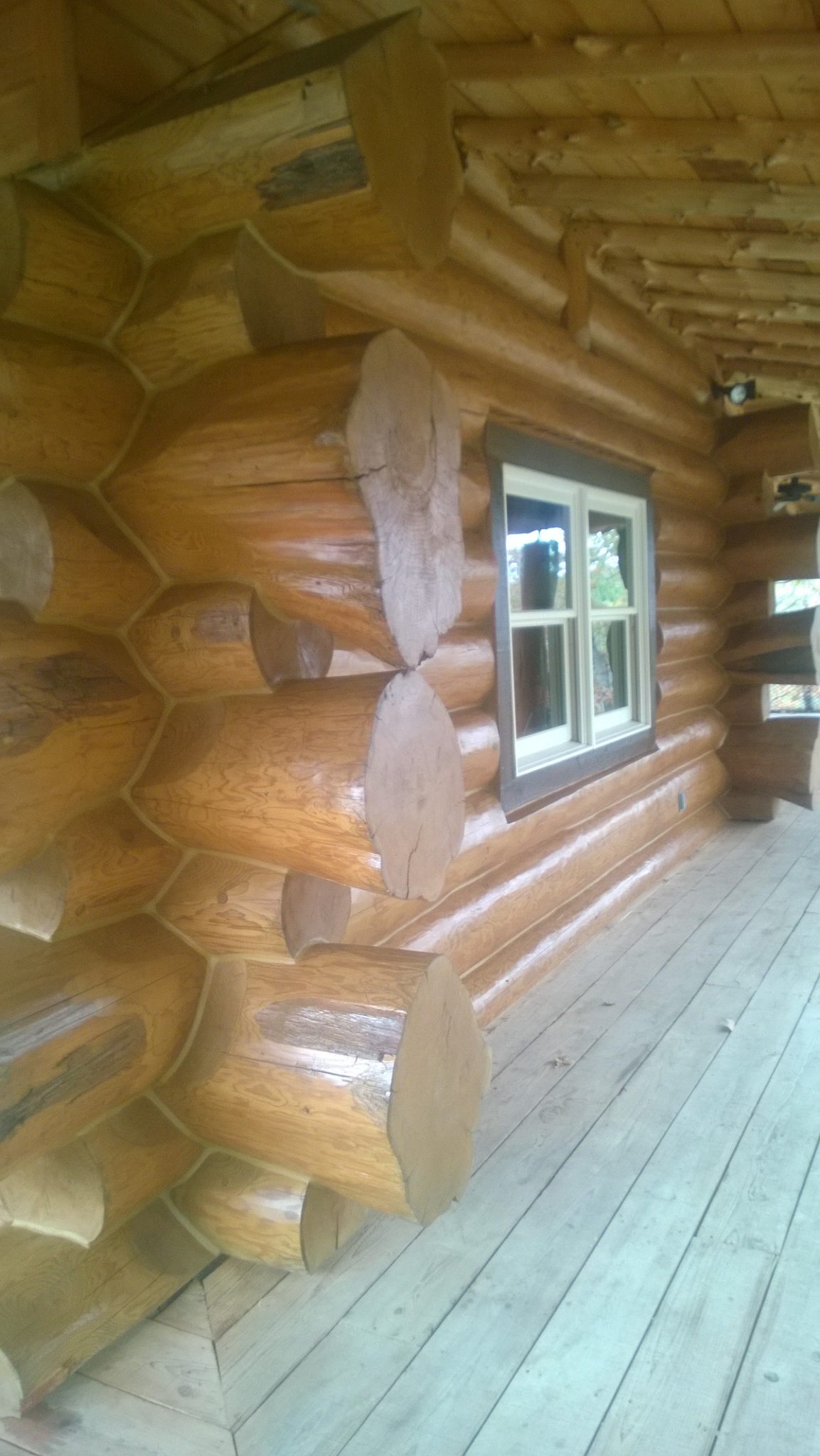 Davis Logwork : Transformation Log & Timber – Gold Tone Medium - Sashco