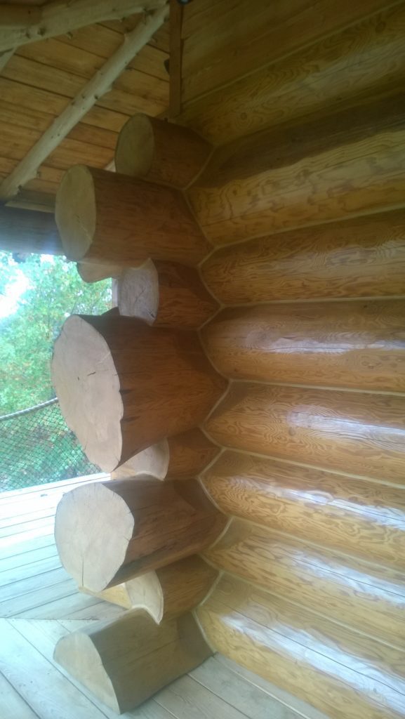 Davis Logwork : Transformation Log & Timber – Gold Tone Medium - Sashco