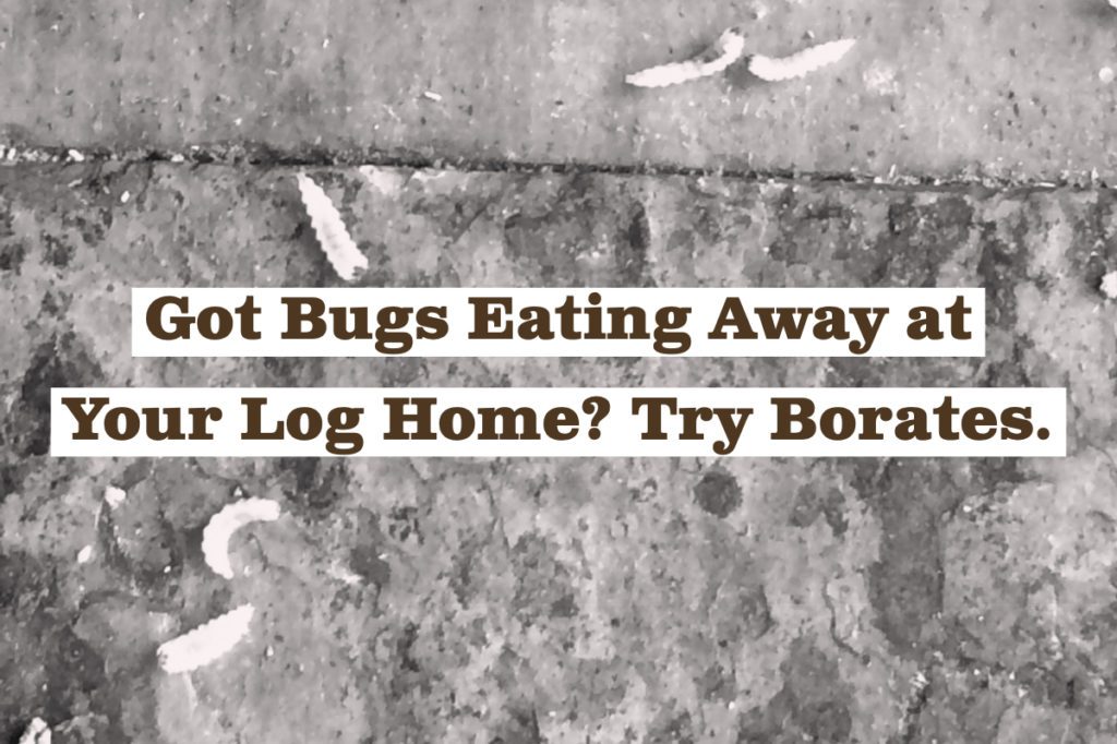 How to Use Borates to Stop Termites From Causing Wood Damage. | Sashco