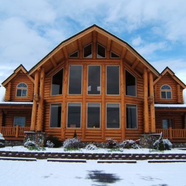 Capture Log Stain – Sashco