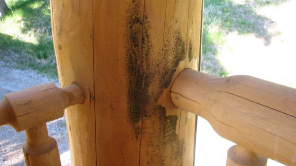 M-1 Advanced Mildewcide Treatment - Sashco