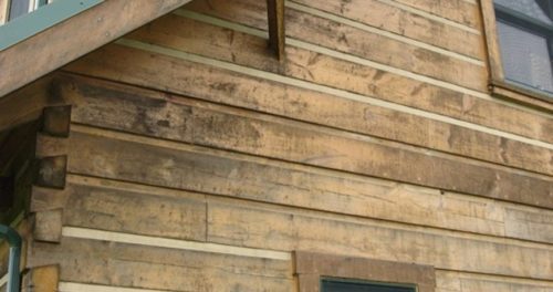 CPR Log Cleaner - Sashco