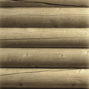 CPR Log Cleaner - Sashco